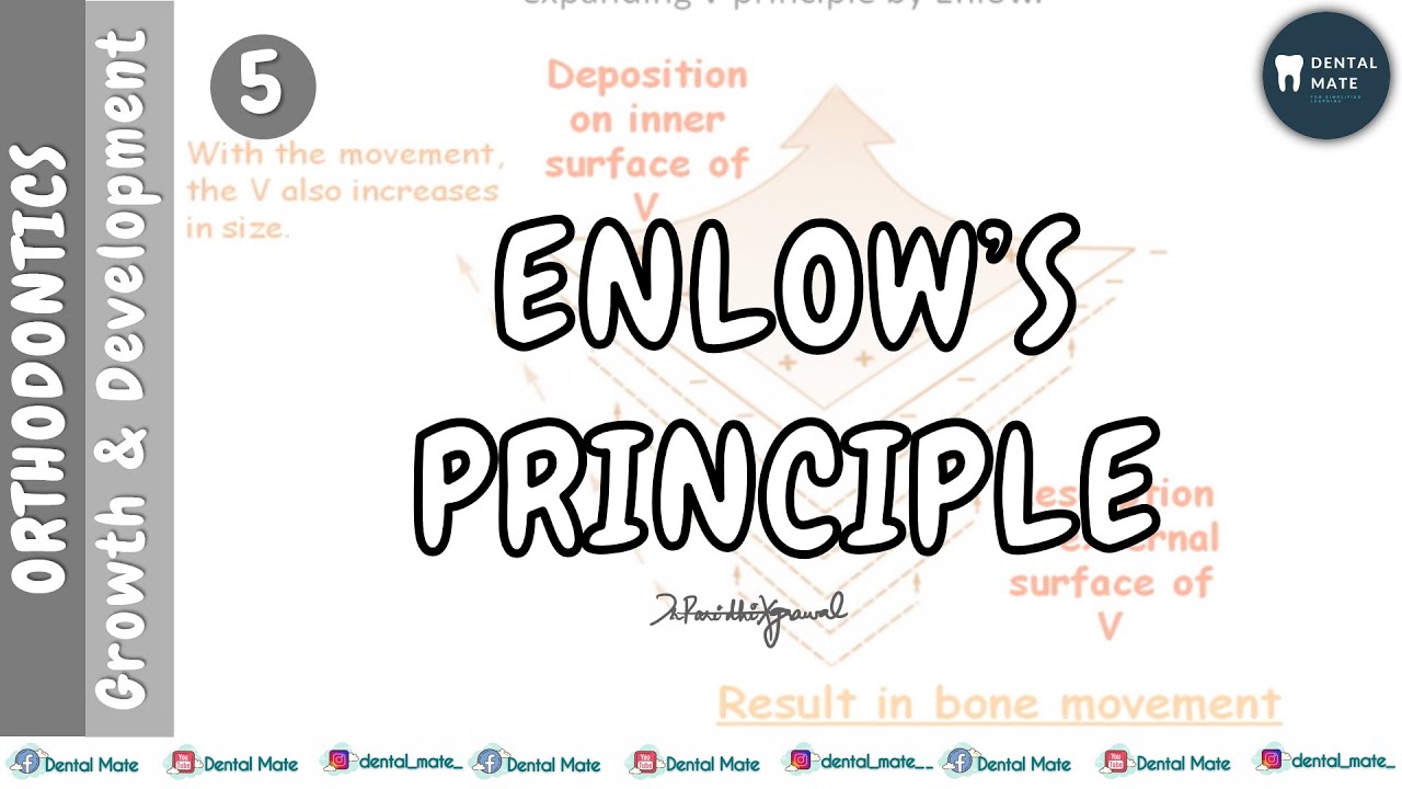 Enlow's expanding V principle | Dr Paridhi Agrawal - YouTube