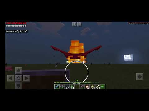 Köpek ordumu öldürdüler