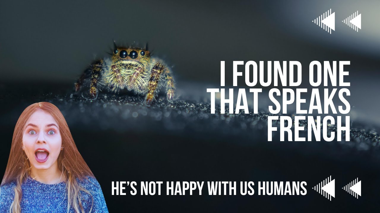 I FOUND a SPIDER That SPEAKS FRENCH — And He’s ANGRY at Humans! - YouTube