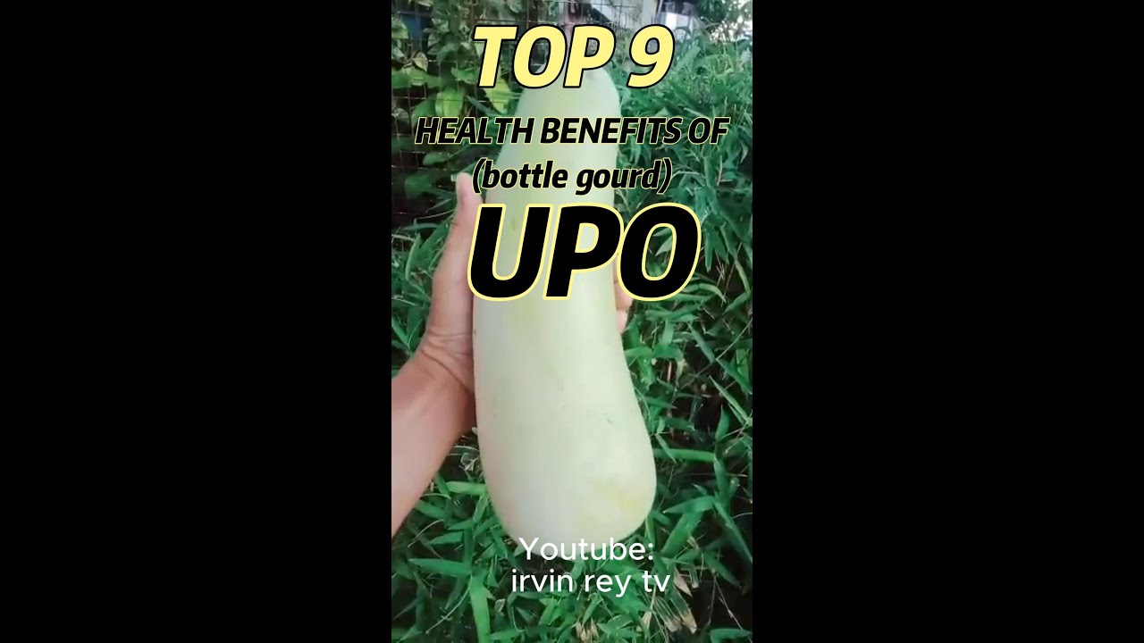 #top TOP 9 HEALTH BENEFITS OF UPO (BOTTLE GOURD) Agriculture-Biyaya ng ...