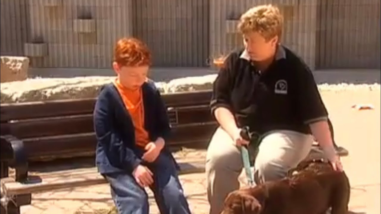 This is Daniel Cook - Season 2 - This is Daniel Cook learning about dog ...