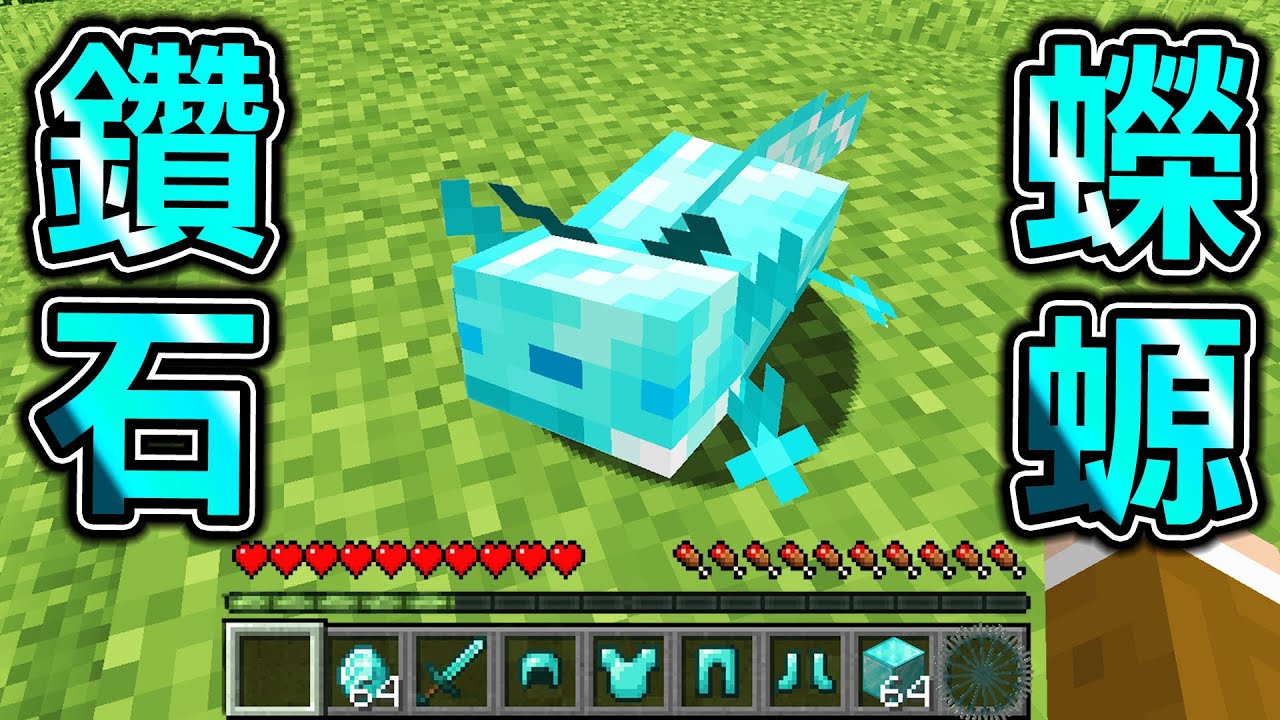 Minecraft 鑽石蠑螈！能【改造蠑螈】獲得最強能力生存，無限礦物！最強金屬【獄髓蠑螈】能夠..？｜全字幕｜當個創世神【阿斯asu】 - YouTube
