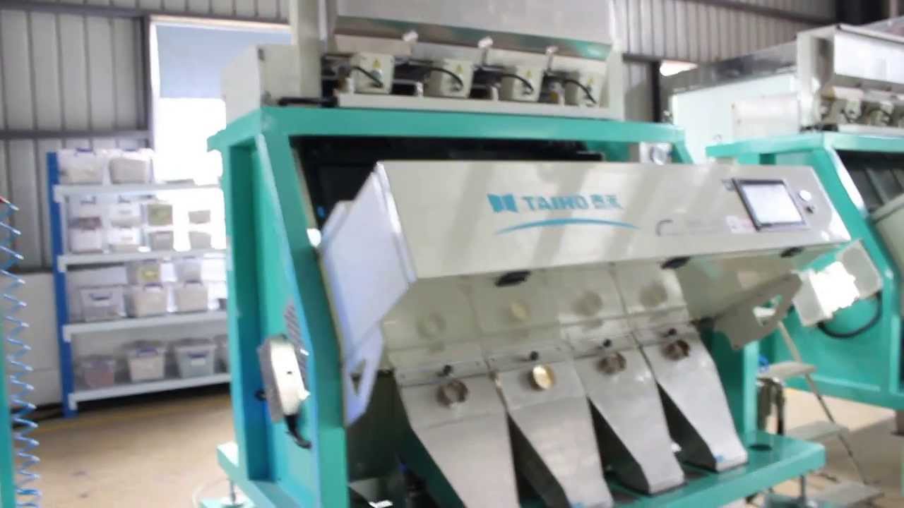 White Kidney Bean Sorting by TAIHO Color Sorter [smarthonesty@yahoo.com ...