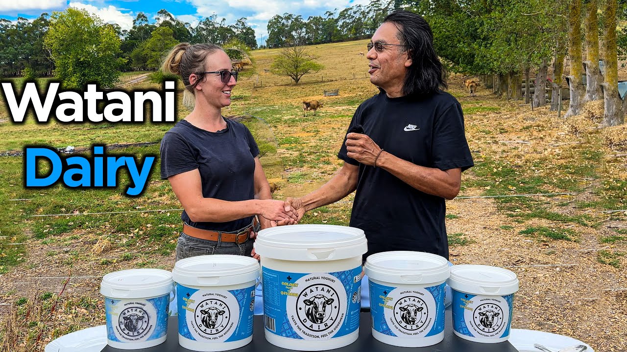 Watani Dairy's Healthy Delicious Yogurt in Melbourne, Australia - YouTube