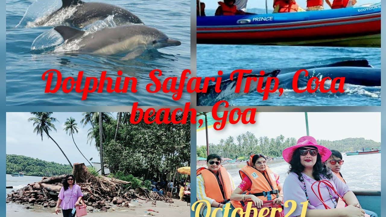 #dolphinwatching| Dolphin Safari Trip, Goa| Boat ride, timings, ticket ...