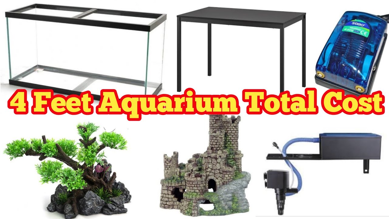 4 Feet Aquarium Total Cost With All Price Details 😁| 4 Feet Aquarium ...