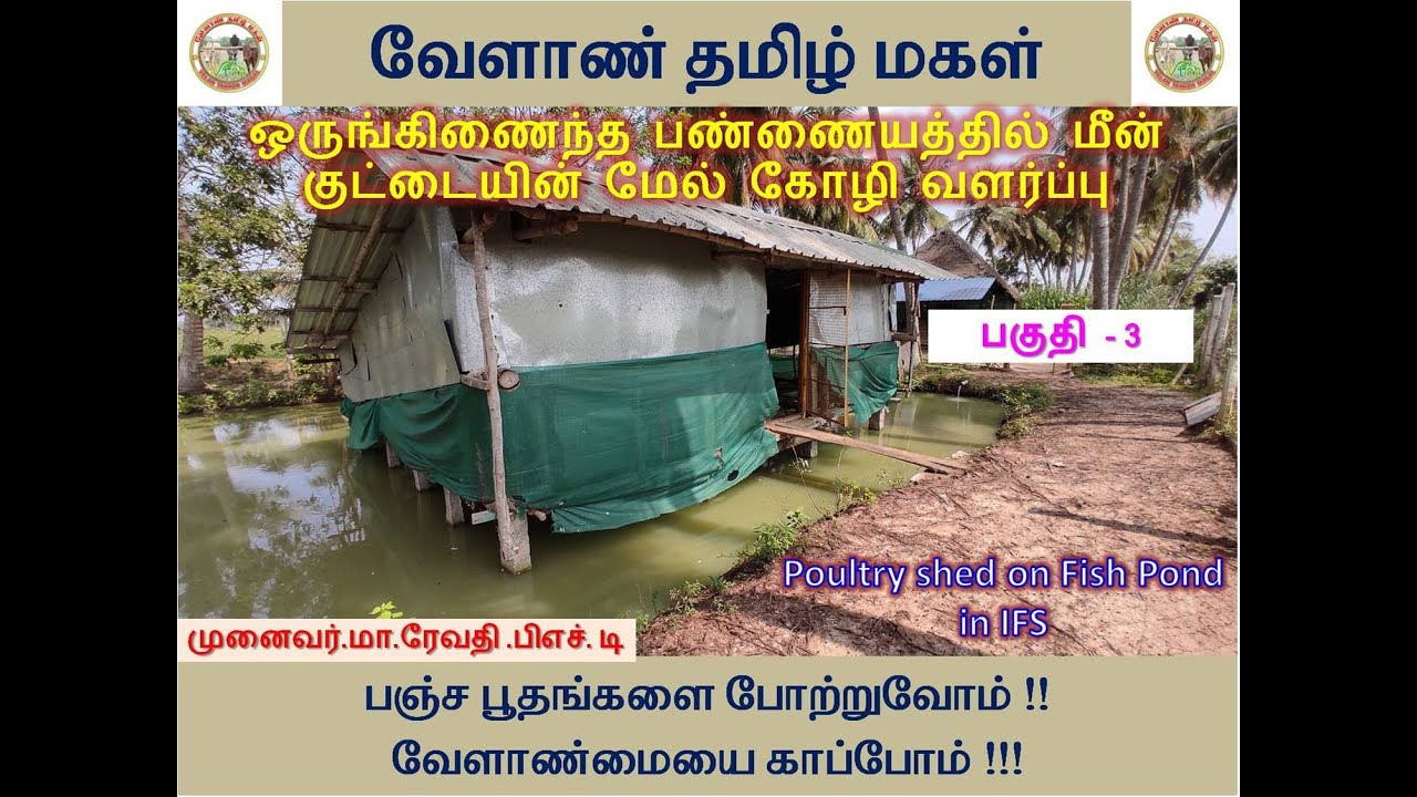 ஒருங்கிணைந்த பண்ணையத்தில் மீன் குட்டையின் மேல் கோழி வளர்ப்பு பகுதி -3 ...