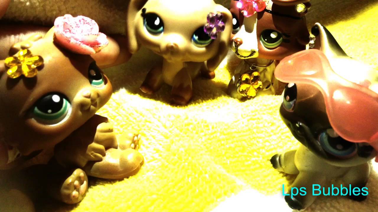 LPS Sugar MV - YouTube