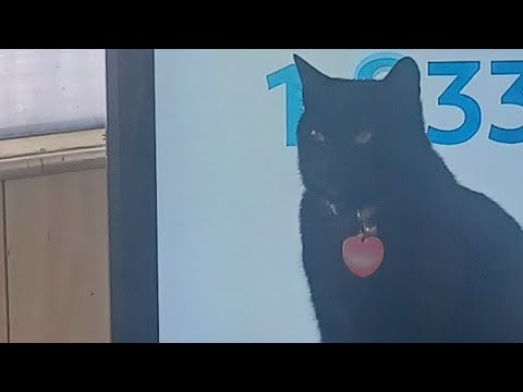 INVOLUTION! FINAL EXTENTION! - YouTube