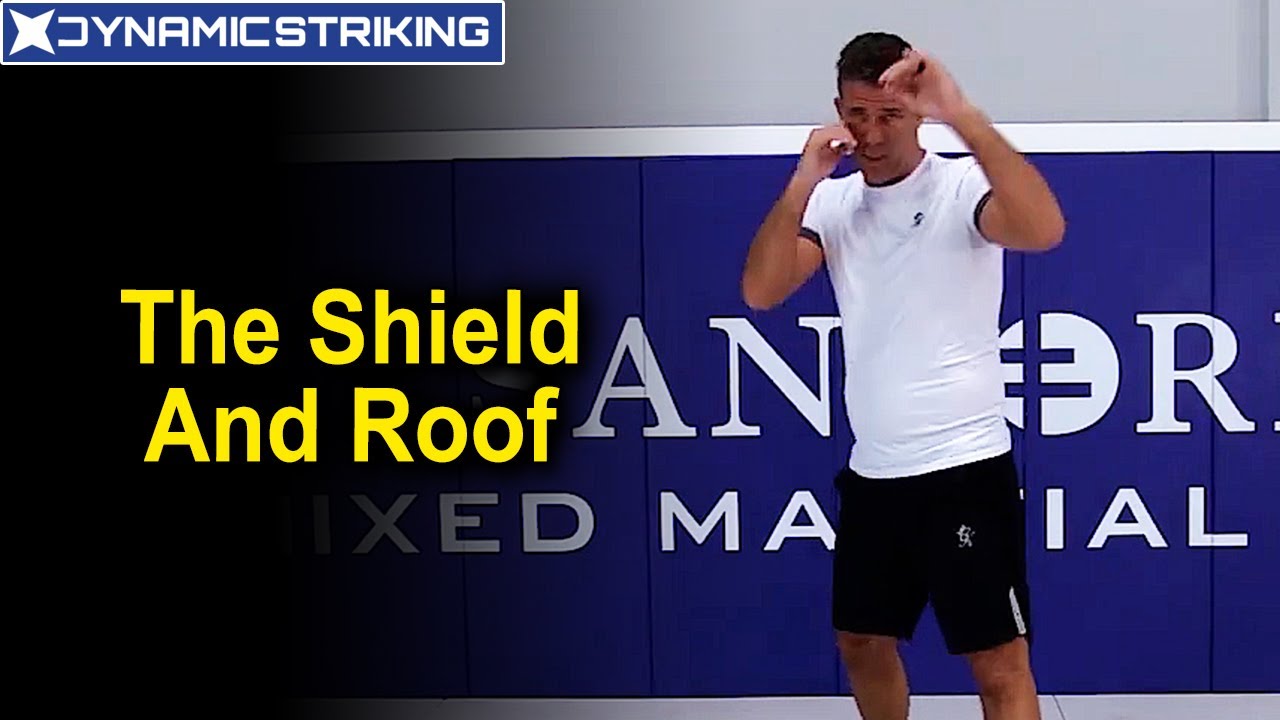 The Shield and The Roof by Henri Hooft - YouTube