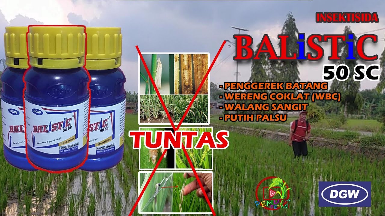 INSEKTISIDA BALISTIC - YouTube