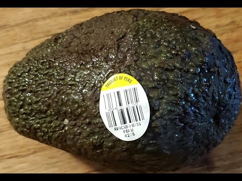 Hass Avocado #4225 from Peru Review - YouTube