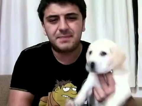 piskevit yiyemeyen incir :)