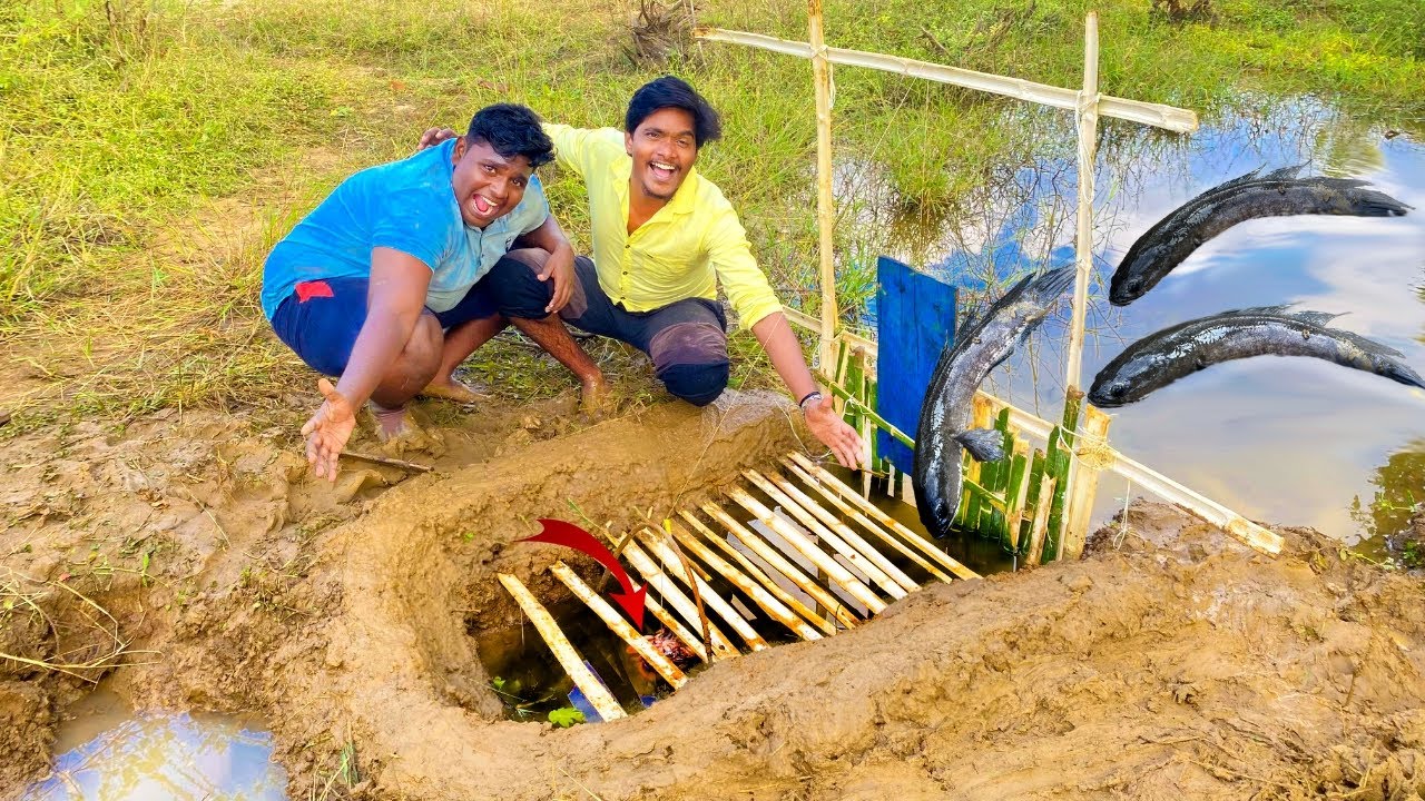 Amazing Survival Fish Trap | Trapping with Fish and Catching in the ...