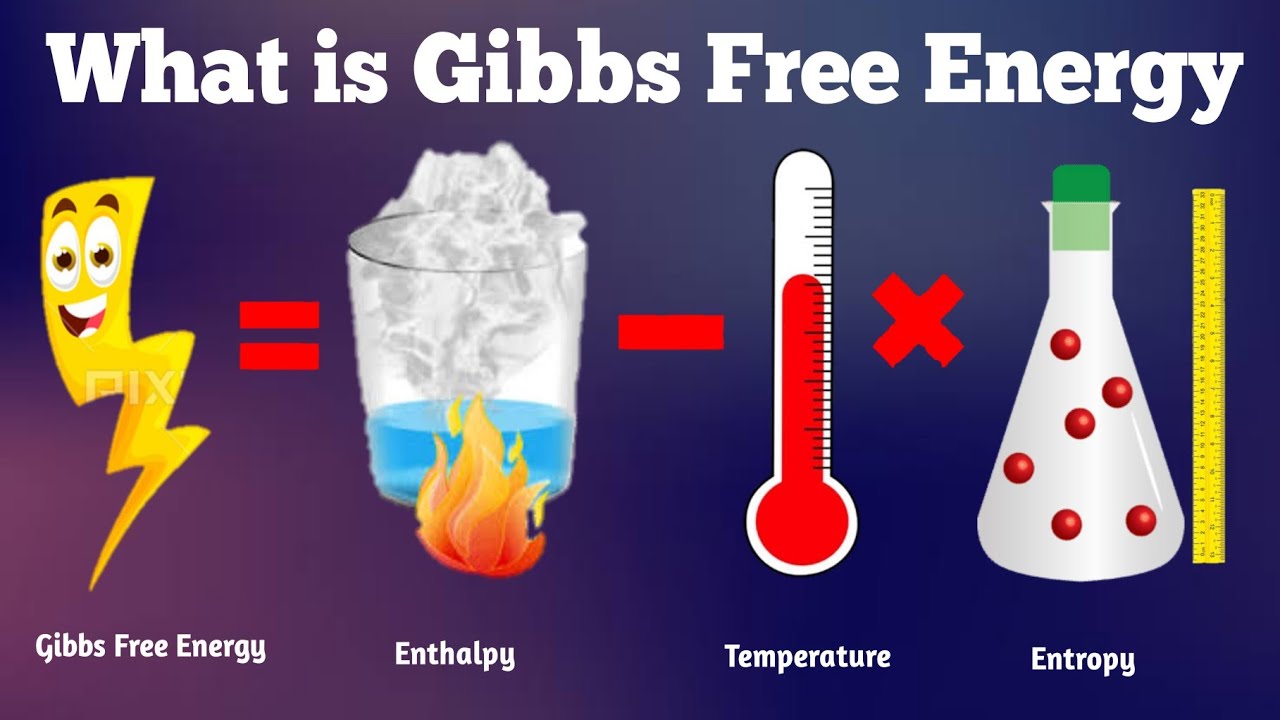 What is Gibbs Free Energy | Thermodynamics - YouTube