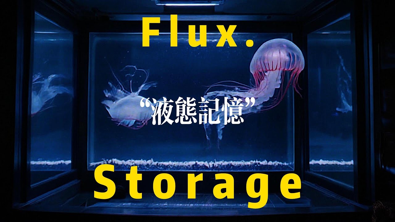 Flux Storage - 液态记忆 - YouTube