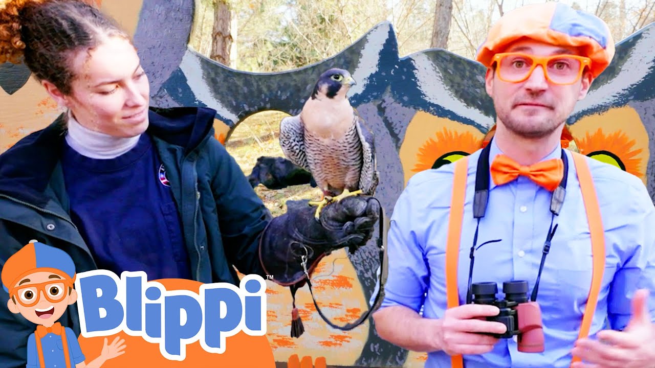 Blippi Hangs with Forest Animals at the Nature Center + More | Blippi ...