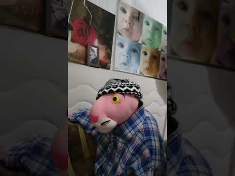 Manda yavrusu oldu bu gece