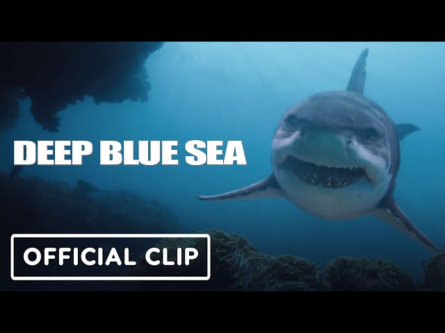 Deep Blue Sea Tiger Shark