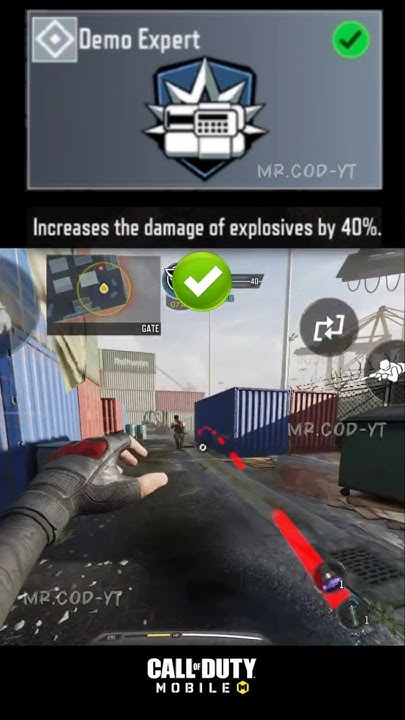 Demo Expert Perk Tutorial Settings in CODM BR 💯🔥Codmobile🤕CODM Pro Setting #shorts #codmbr #codm ...