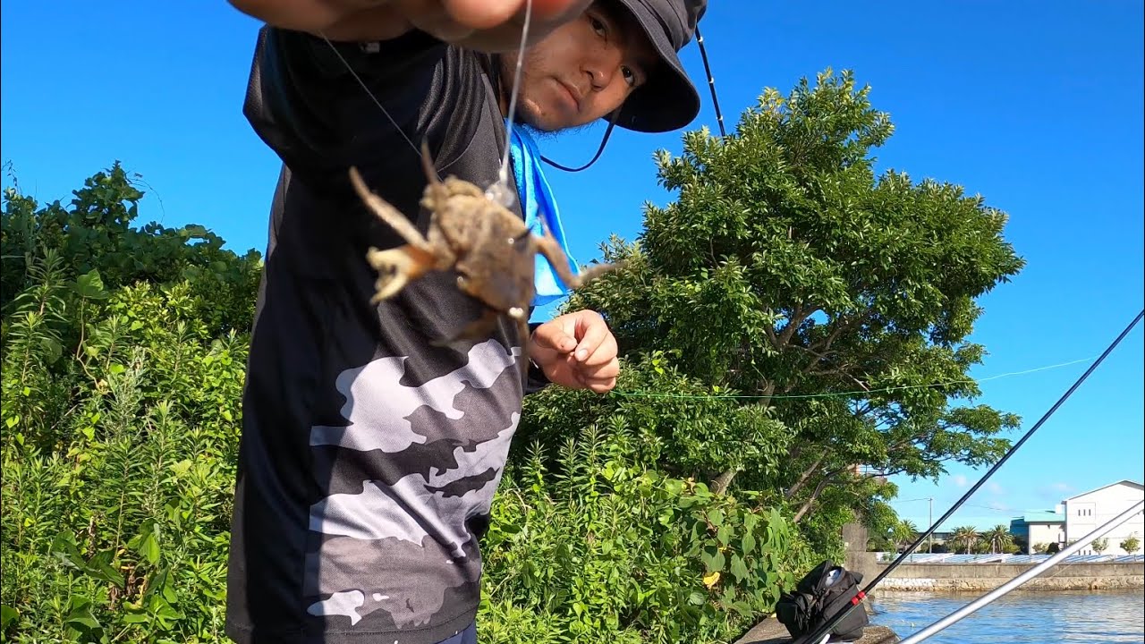 KURODAI FISHING - YouTube