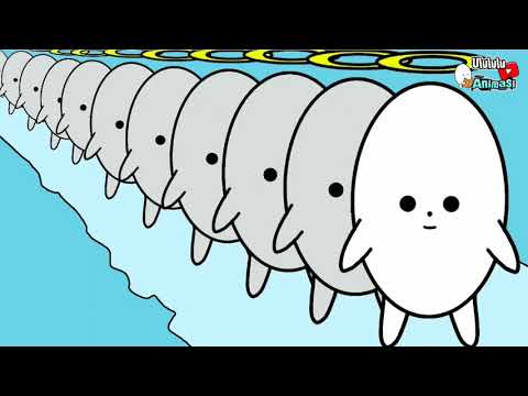 Martin @Vernalta cabut nyawa tukang bakso