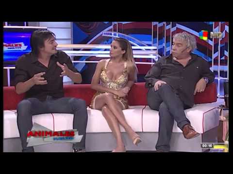 Animales Sueltos: 20-12-2013