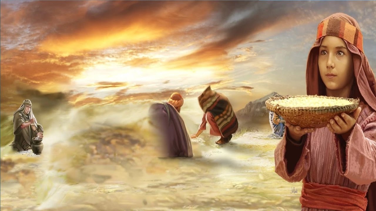 LA SANTA BIBLIA,VERSIÓN BIBLIA DE JERUSALÉN 1976, Éxodo 16 - YouTube