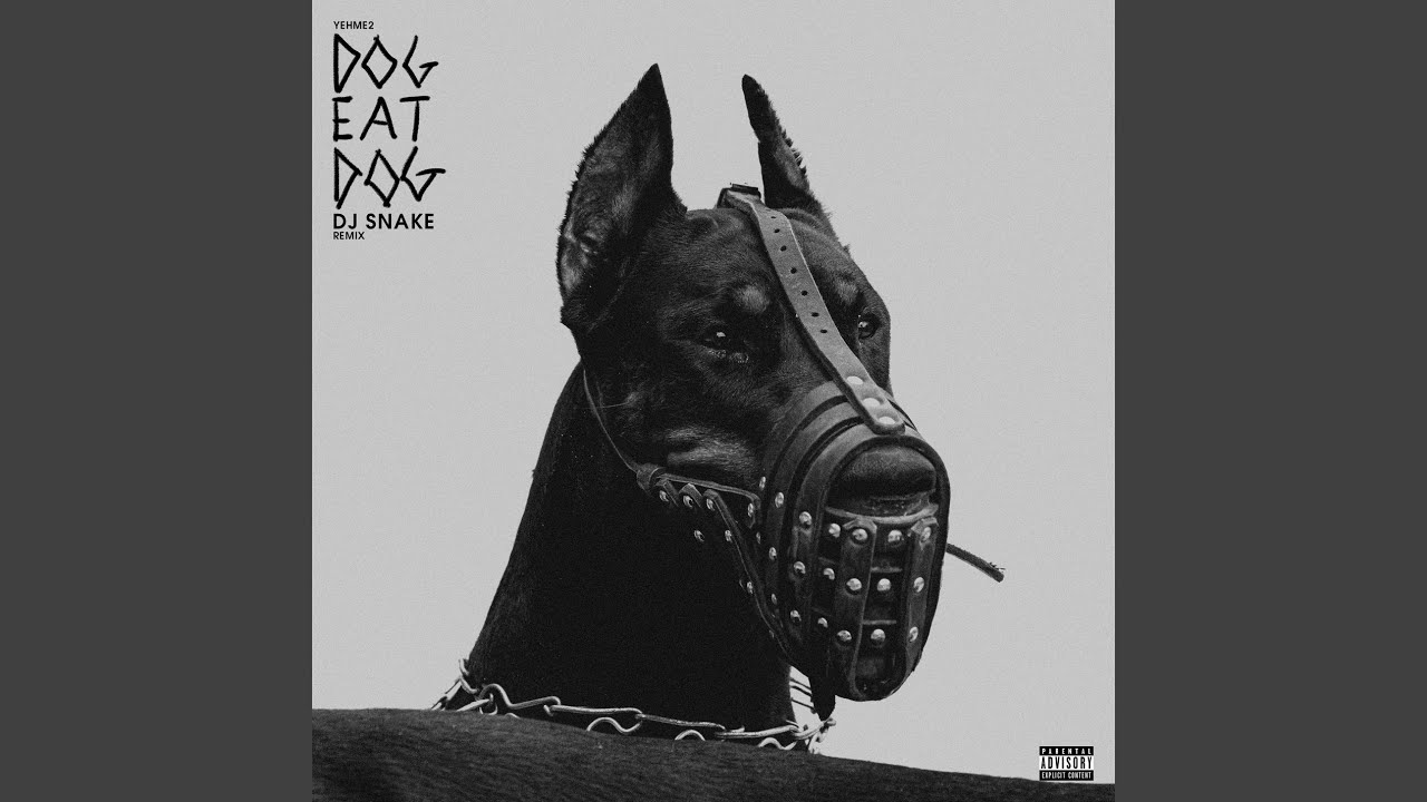 Dog Eat Dog (DJ Snake Remix) - YouTube