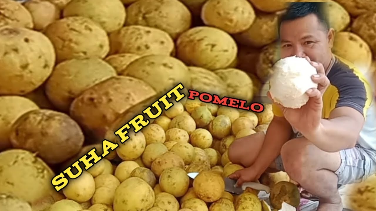 suha pomelo |Arman Pvlog - YouTube