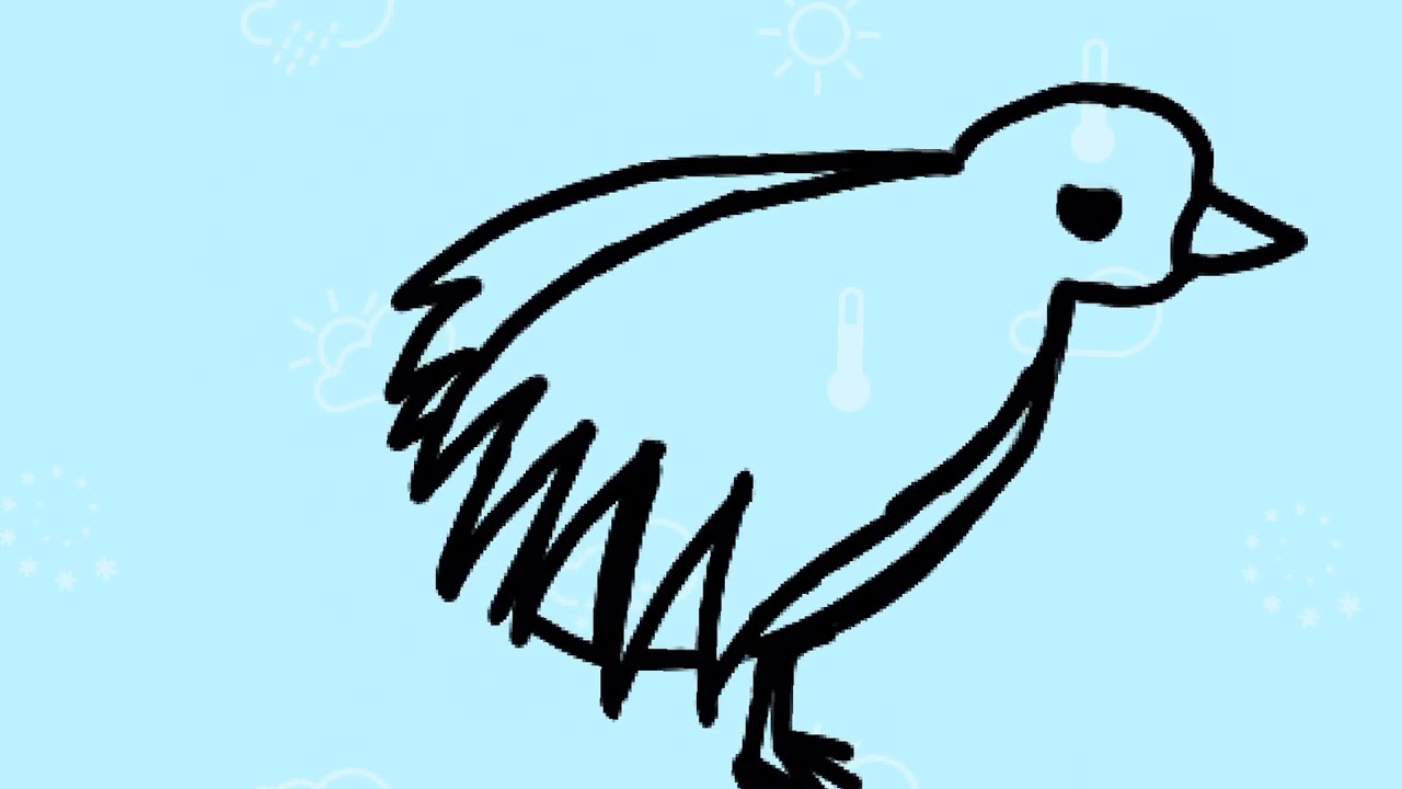 FlipaClip bird flapping its wings animation - YouTube