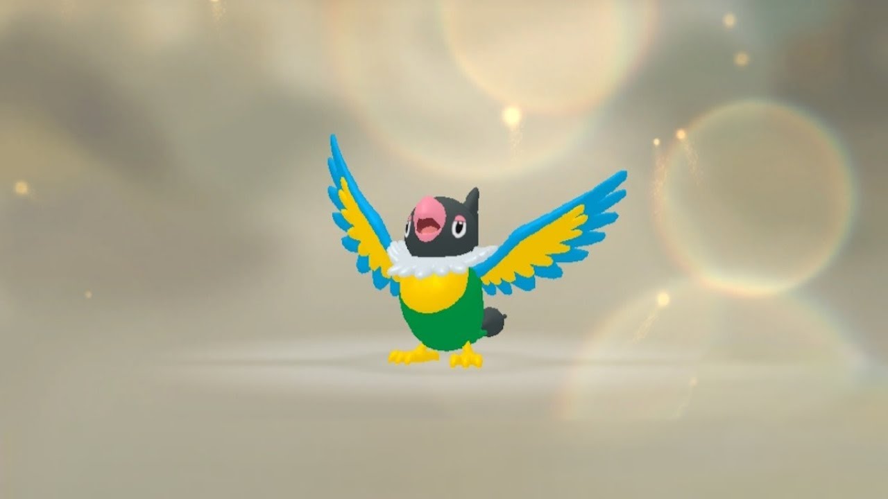 Pokédex #441: Chatot - YouTube