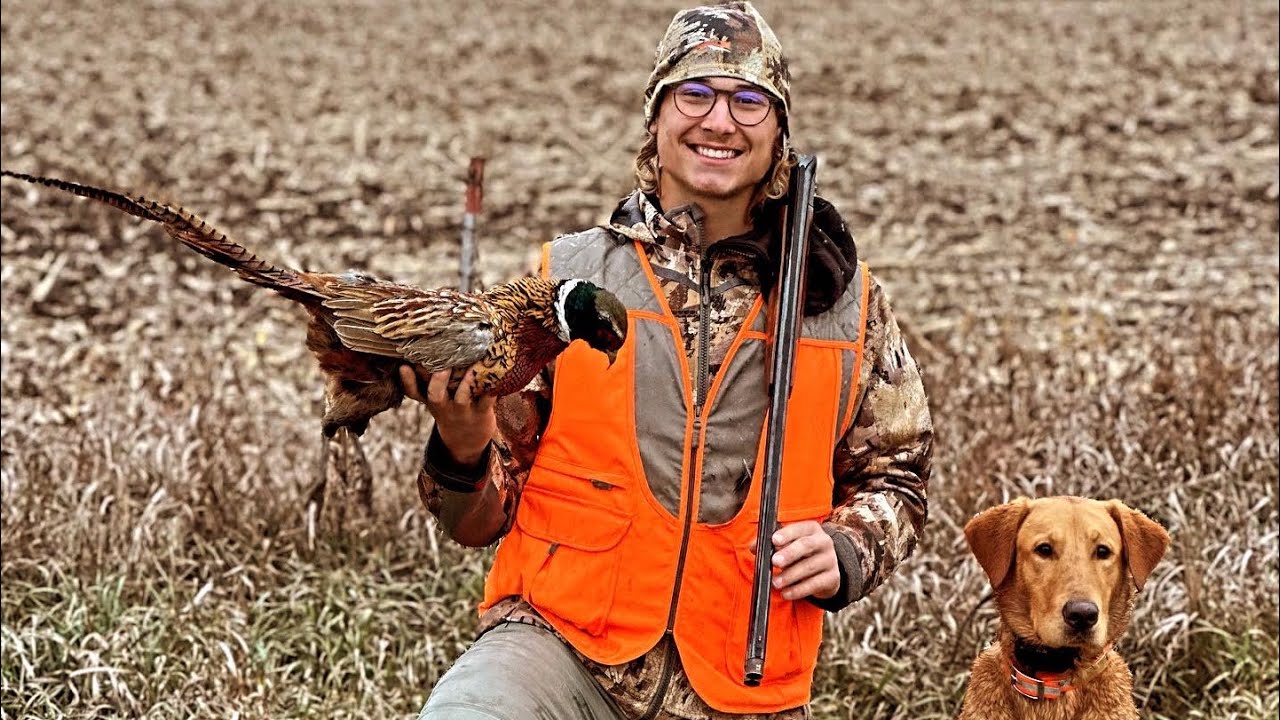 Real World Wingshooting - YouTube