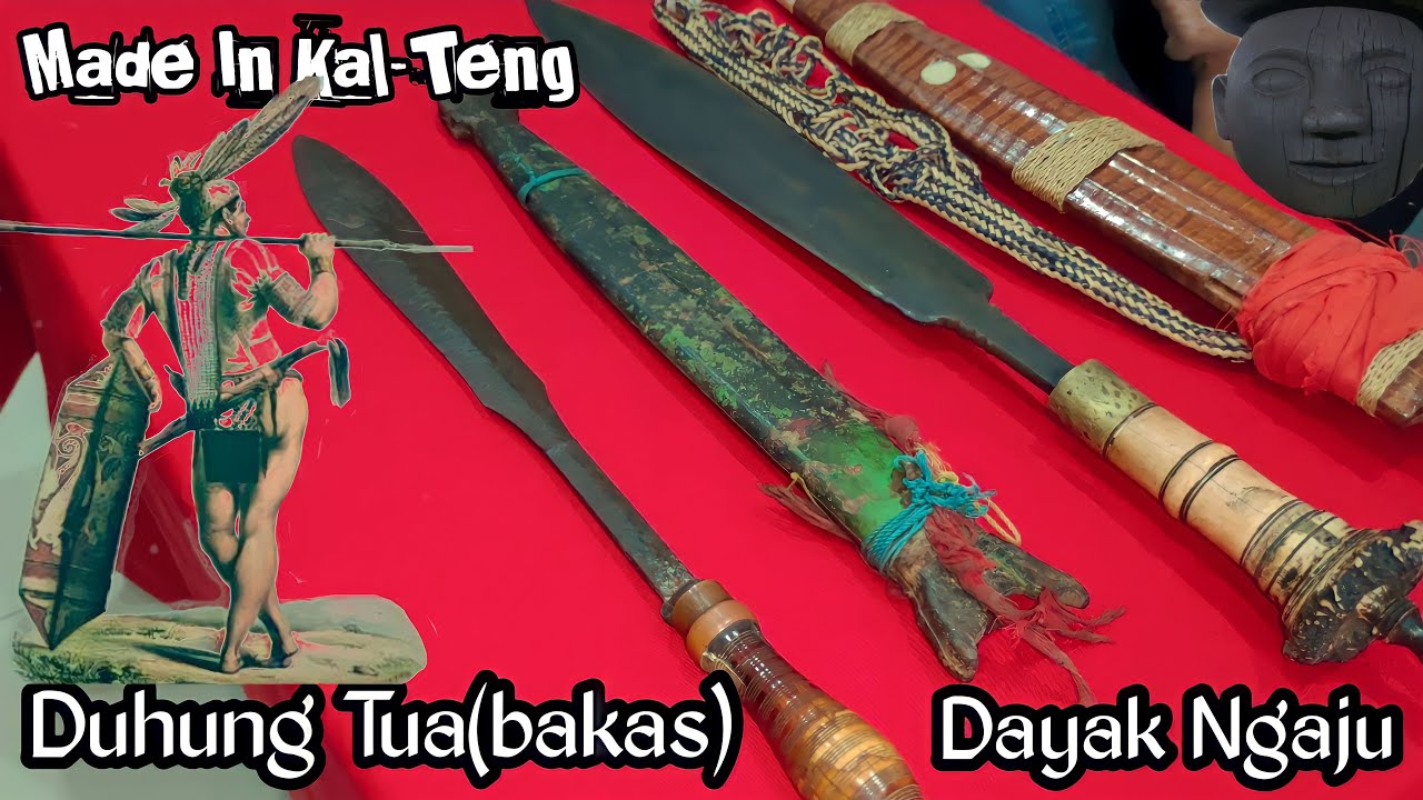 Mengenal Dohong Senjata Pusaka Pertama Bagi Masyarakat Suku Dayak ...