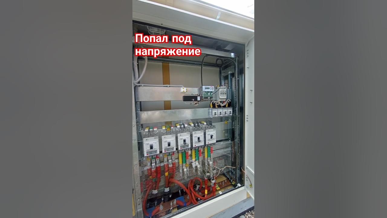 Кот в ТП РУ - 0,4 кВ #кот #мертвыедуши #подстанция #электричество # ...