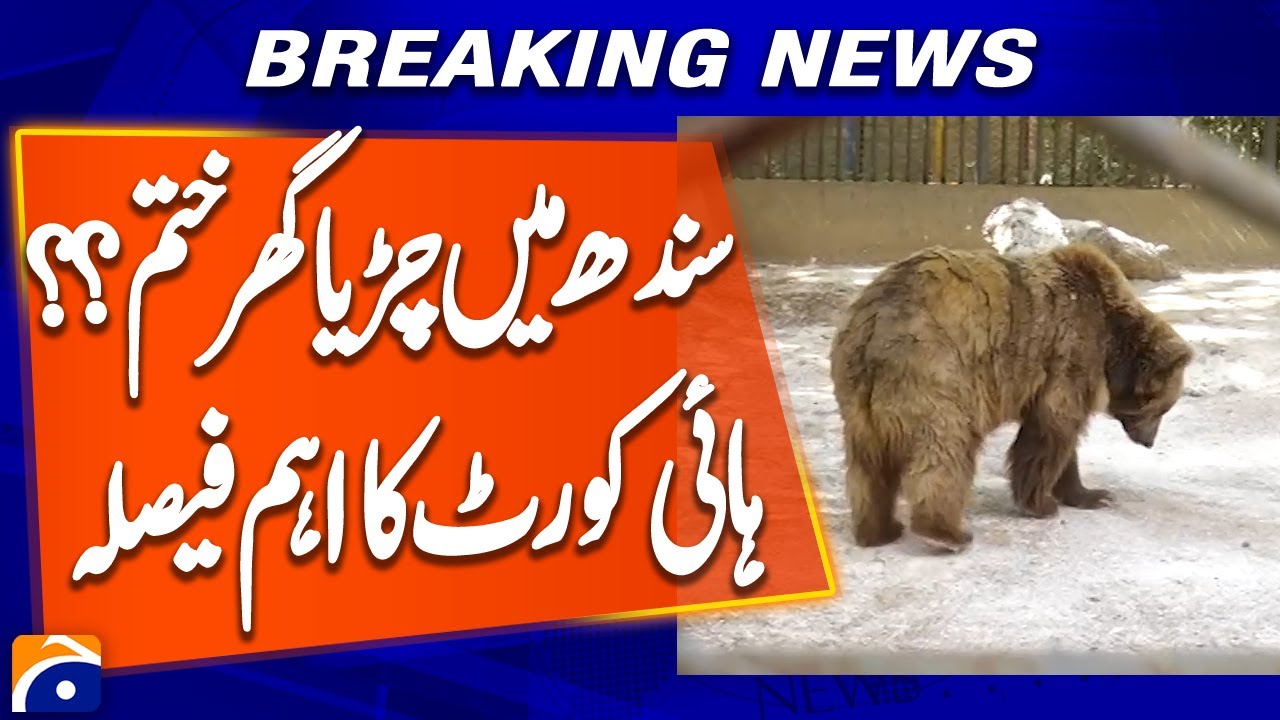 Sindh High Court Forms Committee to Phase Out Zoos | Animal Welfare ...