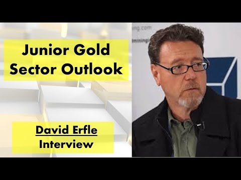 David Erfle | Junior Gold Sector Outlook - YouTube