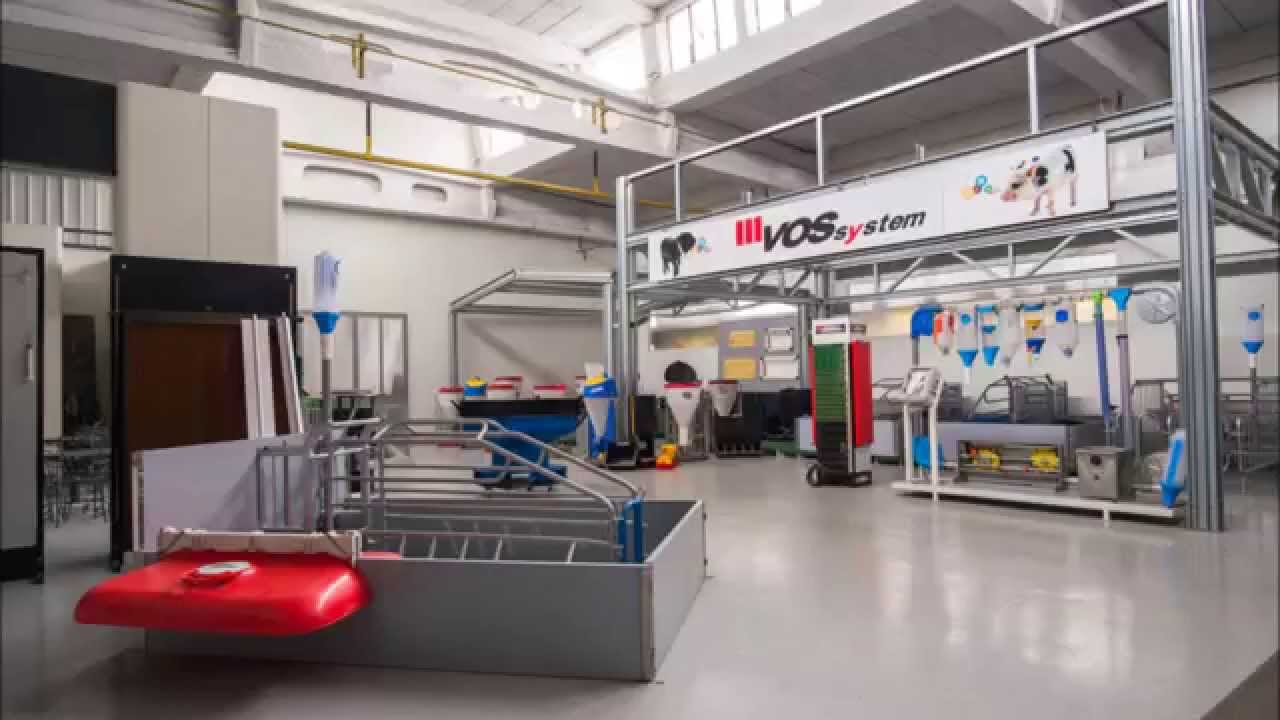 vos system zabalj (svinjogojstvo) 021/831-283 - YouTube