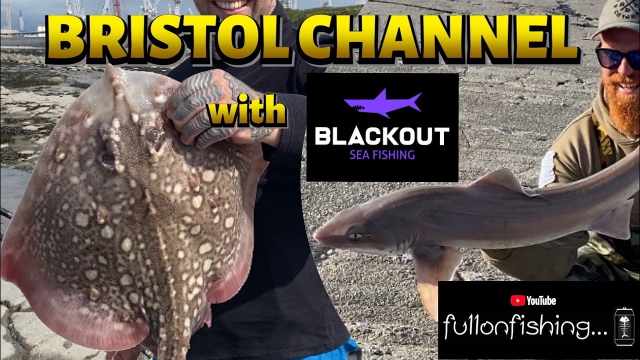 Sea Fishing BRISTOL CHANNEL at SHURTON REEF for SMOOTHOUND and RAYS ...