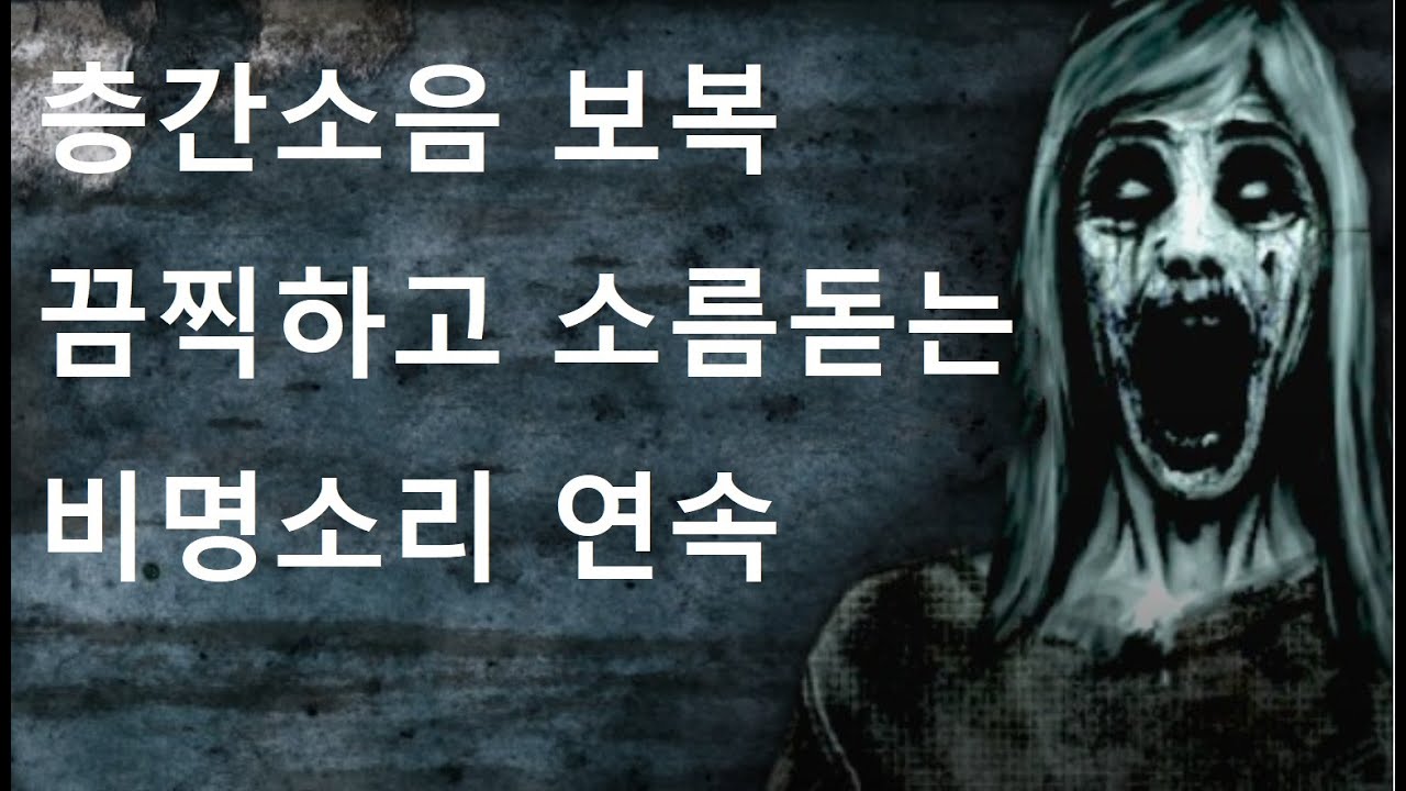 층간소음 보복용 끔찍하고 소름돋는 비명소리 효과직빵 틀어놓고 Pc방 ㄱㄱ 층간소음보복 층간소음복수 층간소음해결