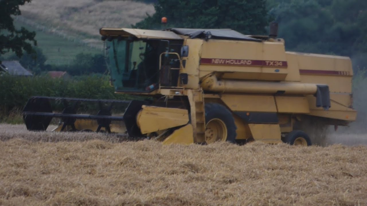 New Holland TX34 Combi Harvesting Wheat - YouTube