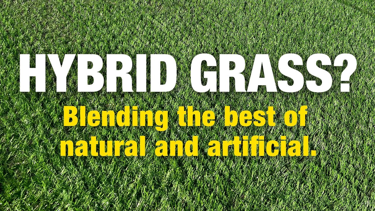 2 Minute Turf Talk - Hybrid Grass? Blending the best of natural and ...