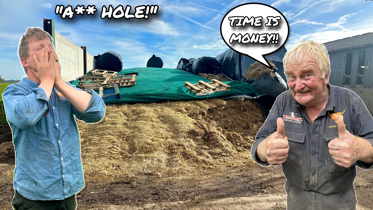 WE FELL OUT BIG TIME!!... THE FIRST TIME EVER COWS HAVE BEEN GIVEN THIS ...