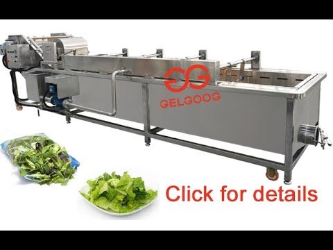 Automatic Vegetabe Salad Washing Machine - YouTube