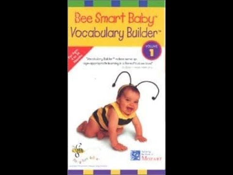 Baby Bumblebee: Bee Smart Baby Vocabulary Builder 1 - YouTube