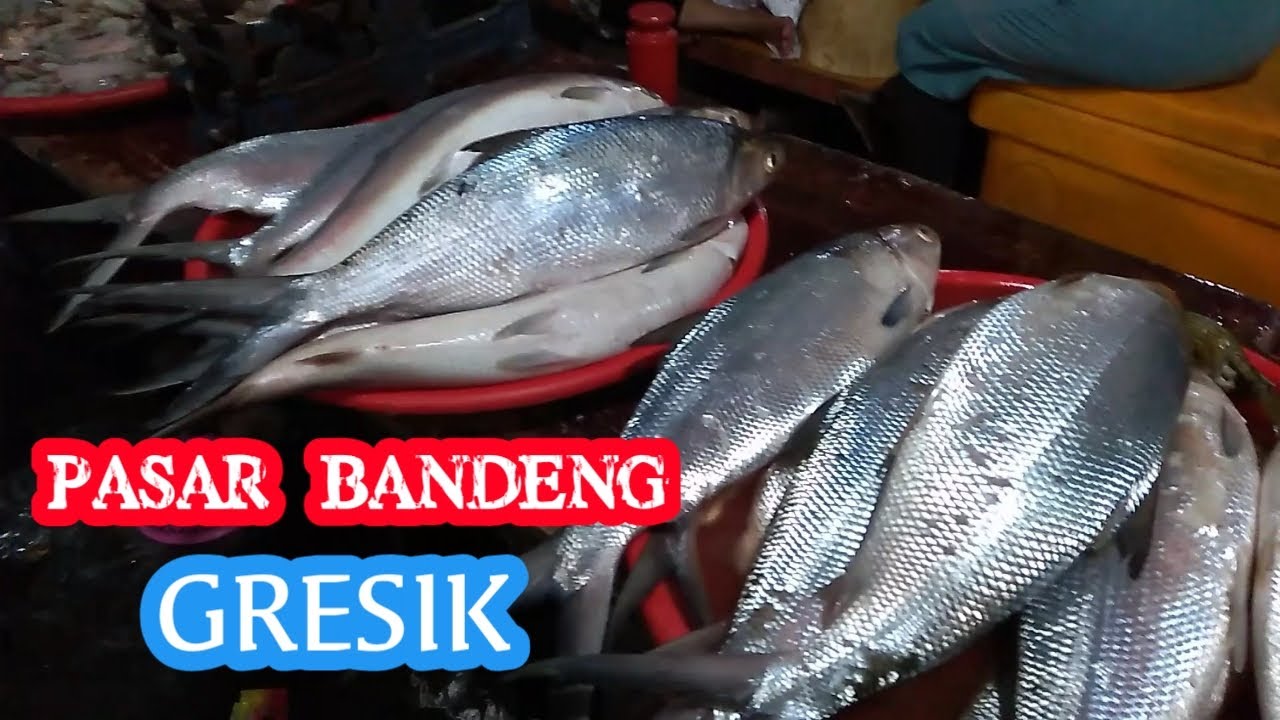 Pasar bandeng gresik - YouTube