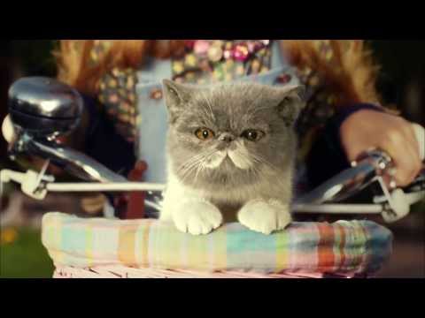 Three Mobile - Starship girl on bike & cat advert. We built this city. #SingItKitty