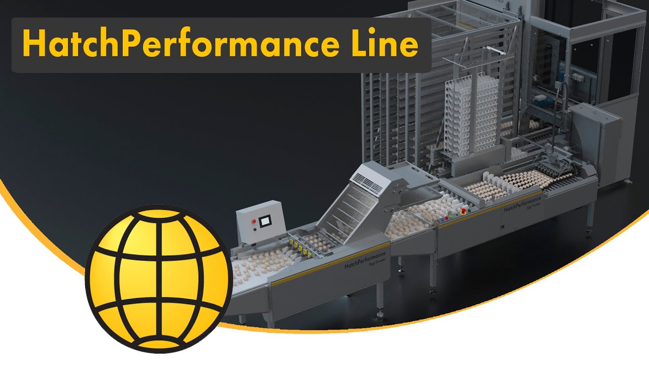 Egg handling solution for breeder farms – The HatchPerformance Line ...