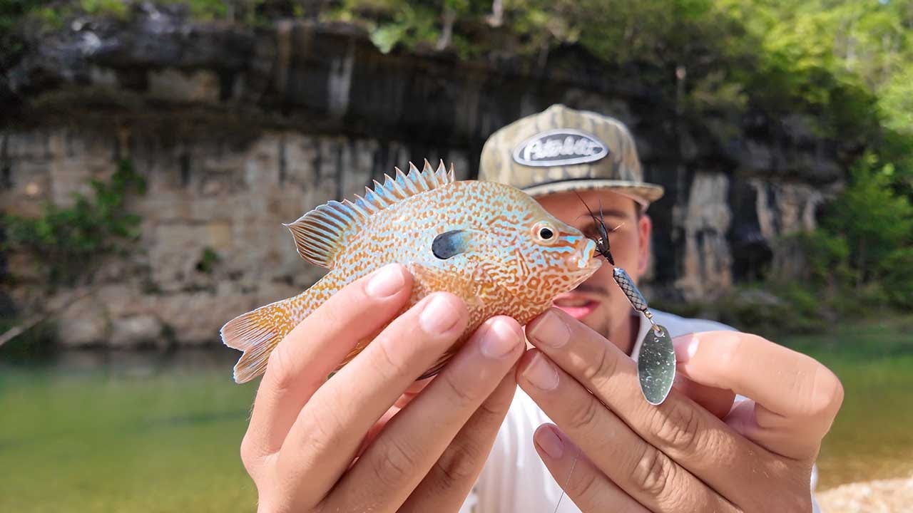 Camping, Fishing and Exploring Caves on the Jacks Fork River - YouTube