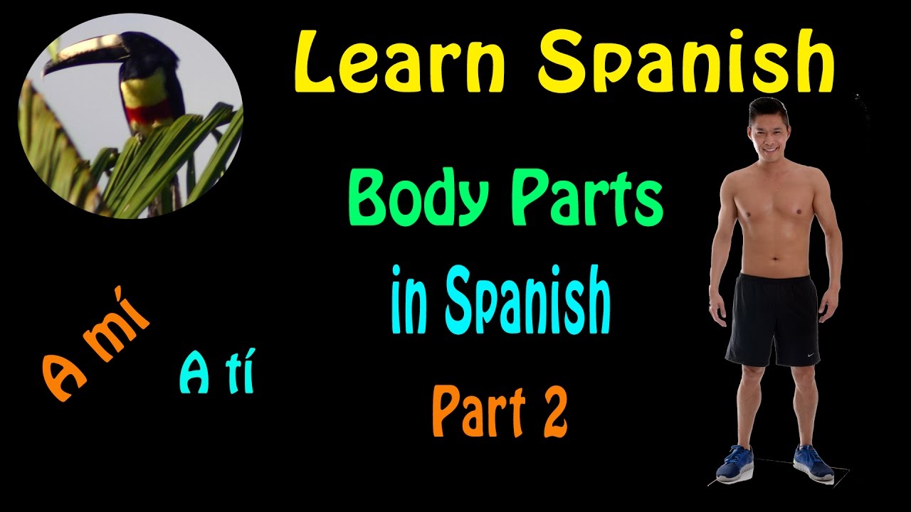 Learn Spanish-Verb Doler, Body Parts Part 2 - YouTube